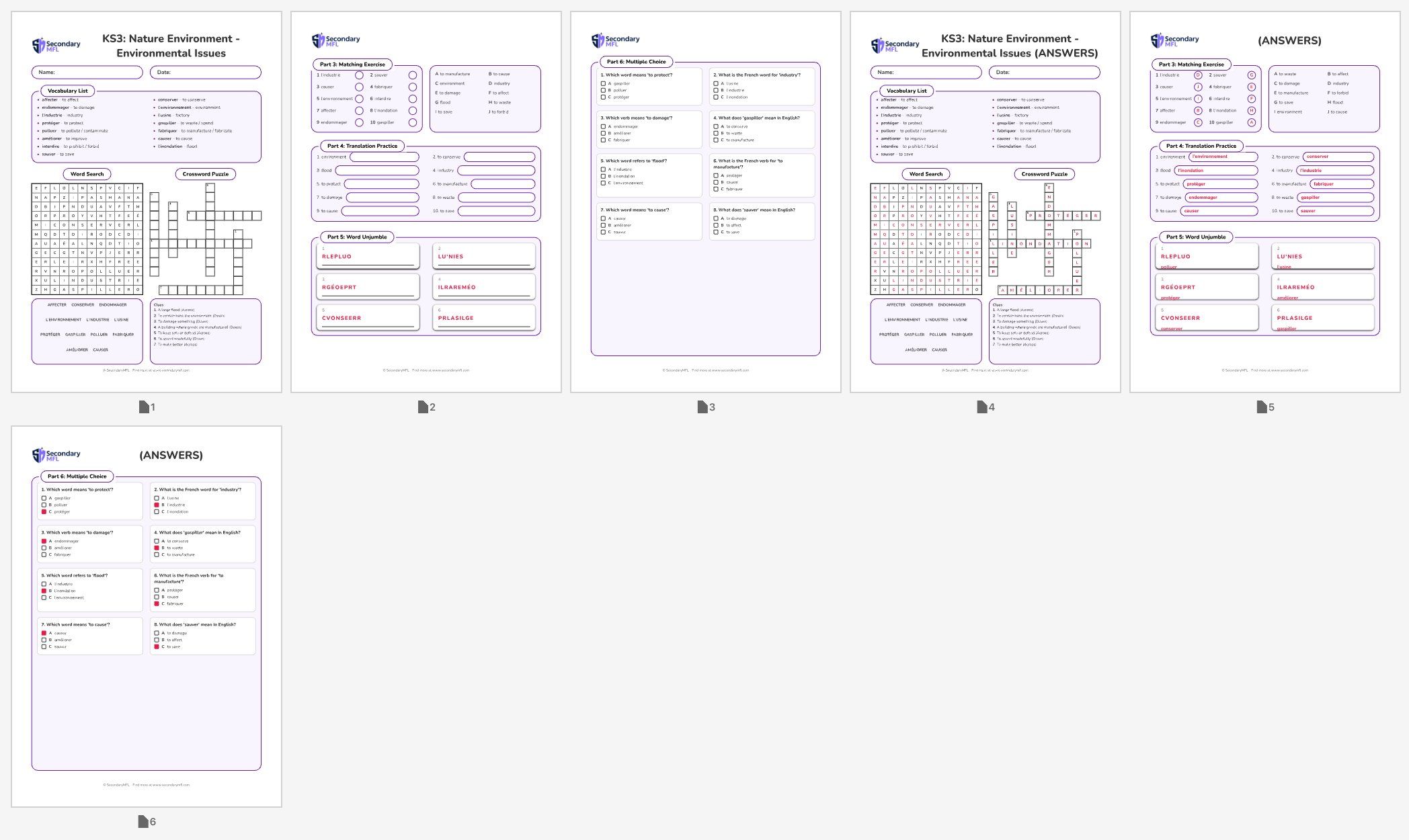 KS3 French Activity Pack: Environmental Issues & Verbs | SecondaryMFL