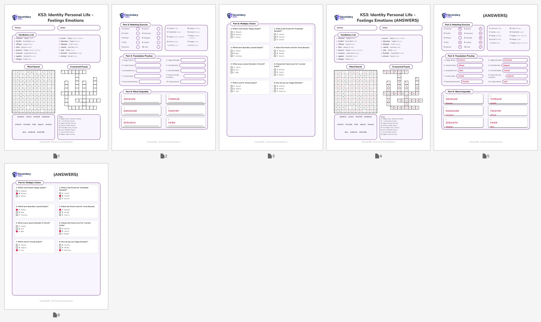 KS3 French Activity Pack: Feelings, Emotions, and Être | SecondaryMFL