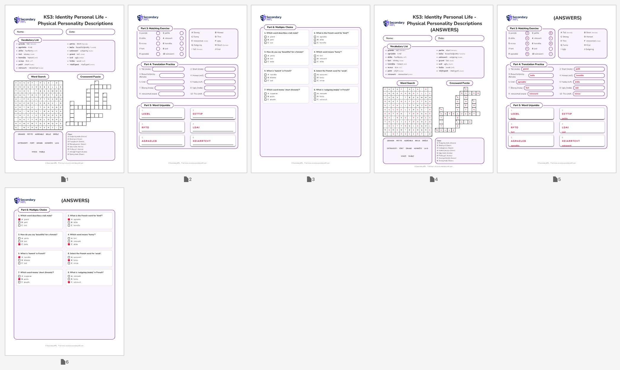 KS3 French Activity Pack: Physical and Personality Descriptions ...