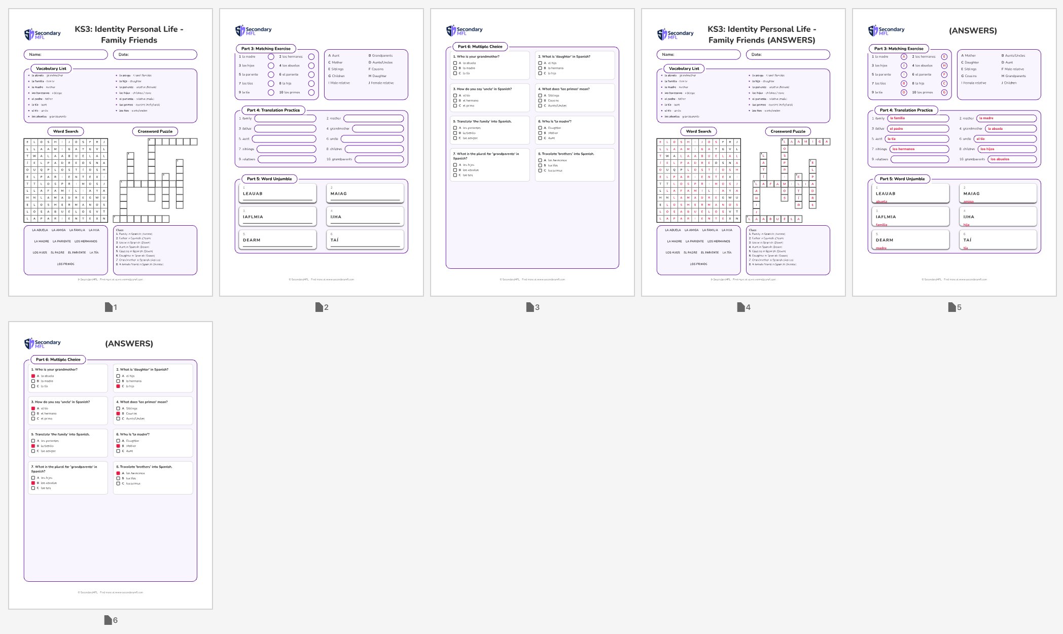KS3 Spanish Activity Pack: Family & Friends | SecondaryMFL